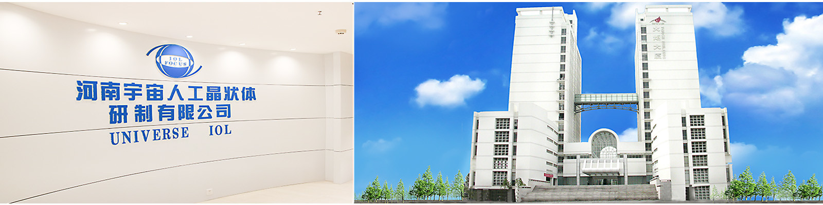 Quality IOL Intraocular Lens & Preloaded Intraocular Lens factory from ...